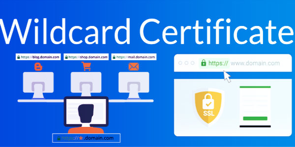 Wildcard Redirect What It Is Why Use It Netvision